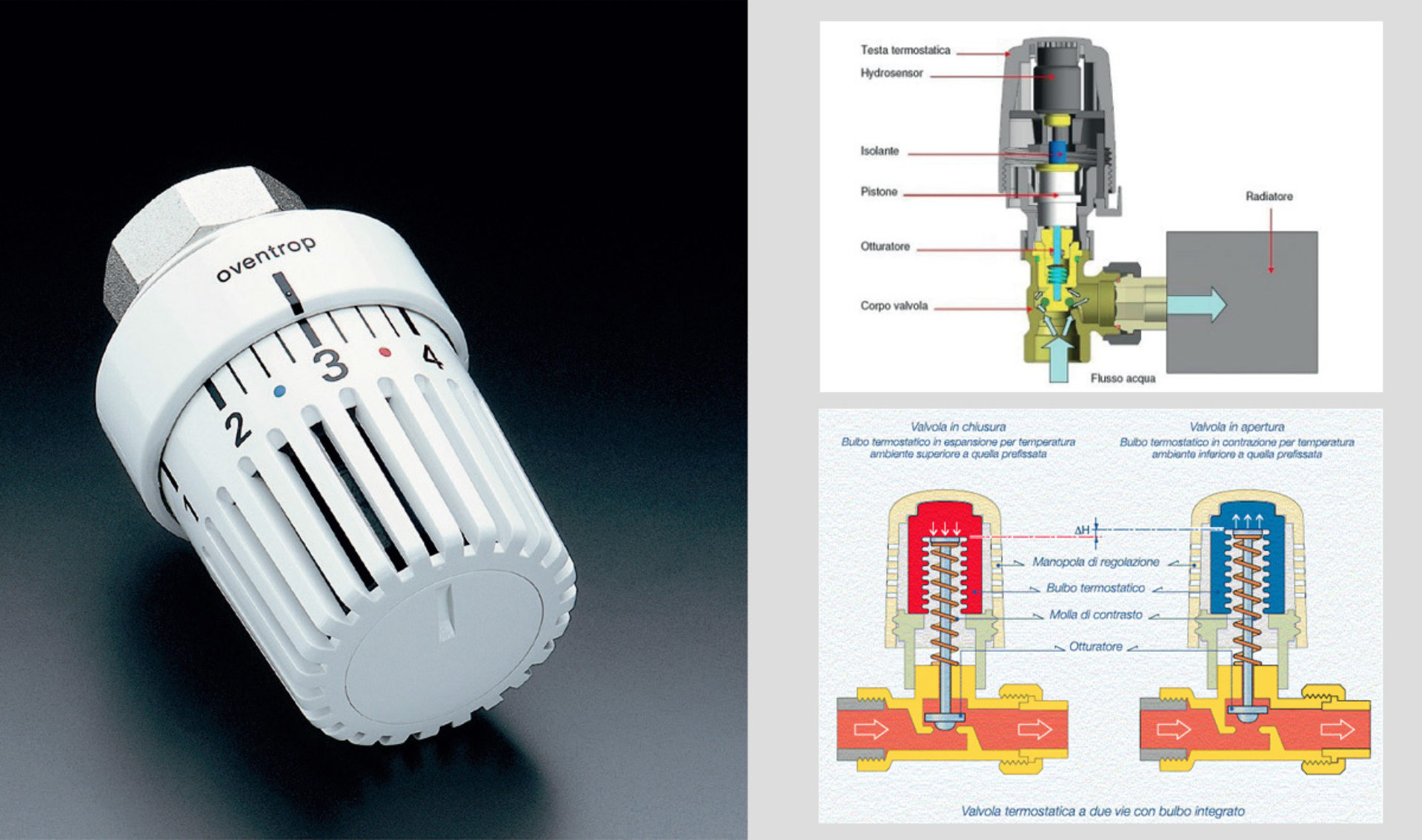 Valvole termostatiche: perché conviene installarle sui termosifoni — Ariel Energia